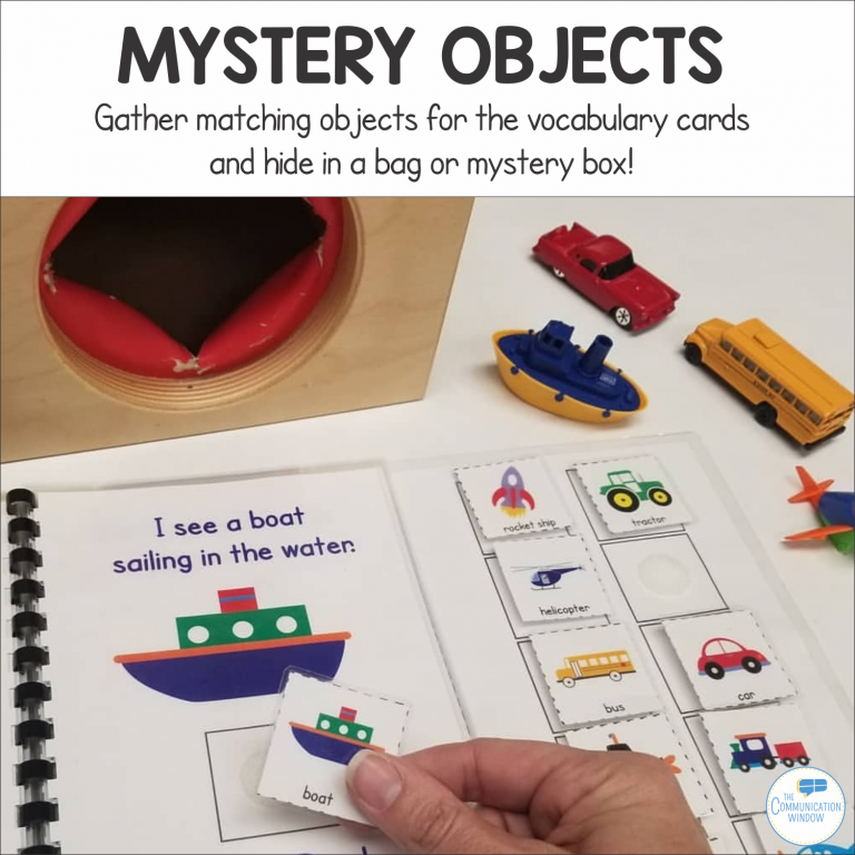 Activity Ideas for Interactive Vocabulary Books for Special Education ...