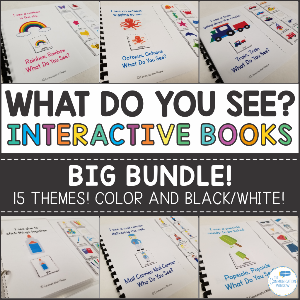 Activity Ideas for Interactive Vocabulary Books for Special Education ...